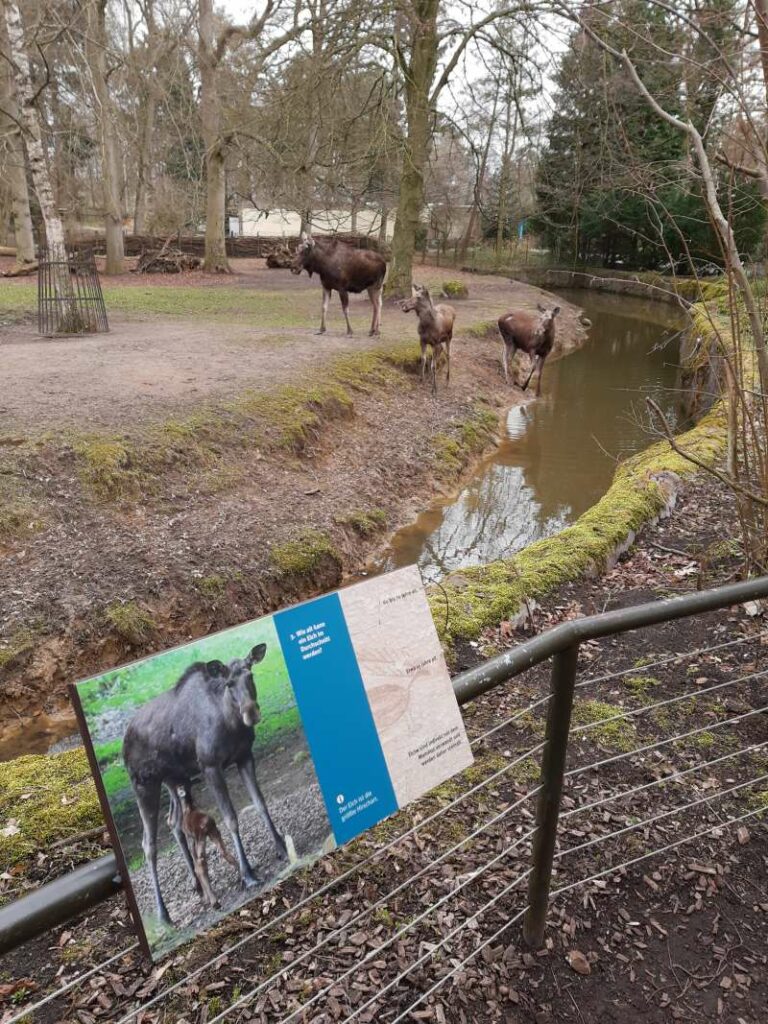 Zoo Rostock mit Darwineum: Erfahrungsbericht - family4travel