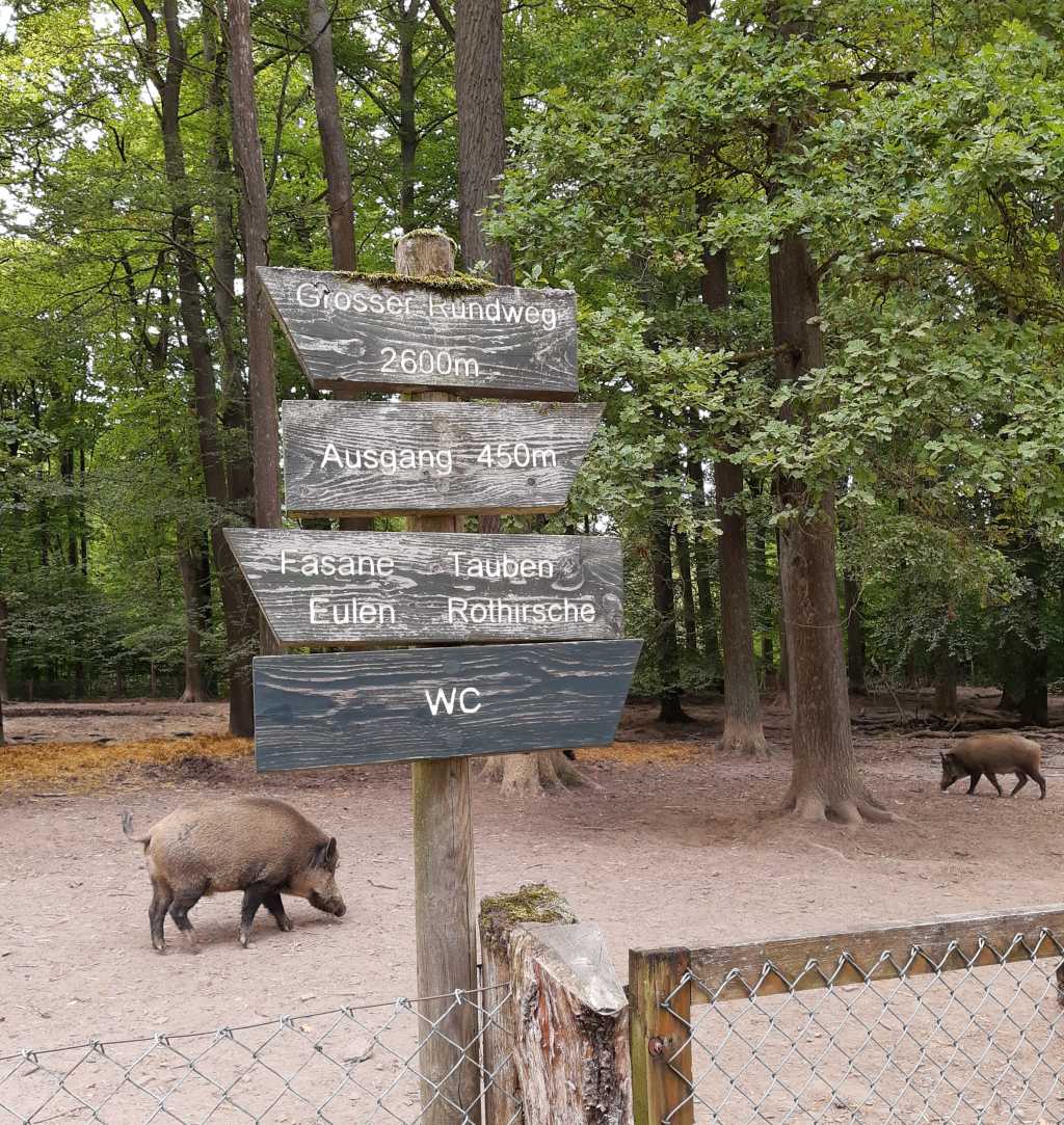 Tierpark Sababurg: Besuch im ältesten Zoo der Welt - family4travel