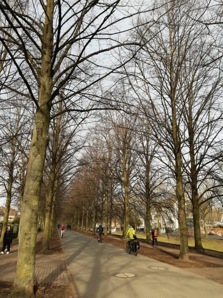 Münster mit Kind: Tipps für den Städtetrip - family4travel