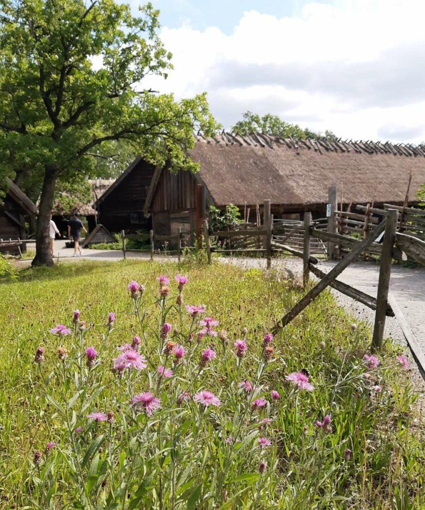 Skansen Stockholm: Lohnt sich das älteste Freilichtmuseum der Welt ...